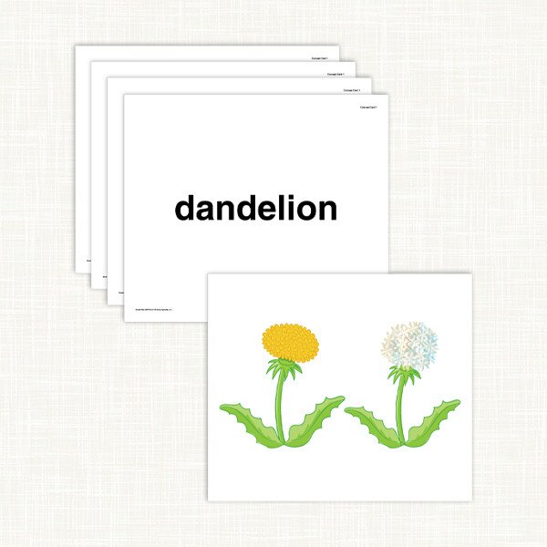 Wordly Wise 3000 4th Ed. Concept Cards - Book K
